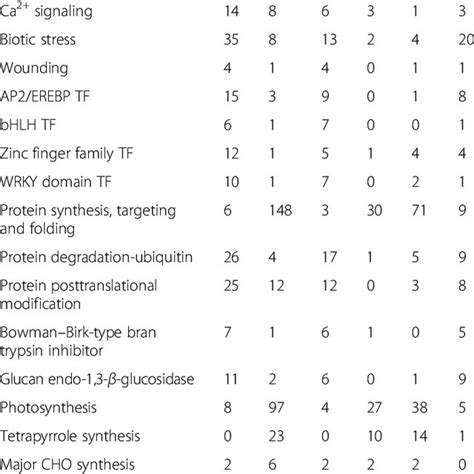 Pathway Classification By Mapman Download Table