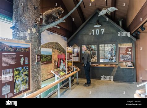 Civilian Conservation Corps Exhibit At Mount Greylock Visitor Center In