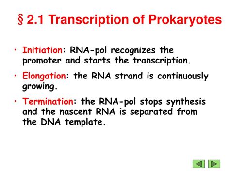 Ppt Lecture 3 Rna Biosynthesis Transcription Powerpoint