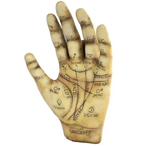 Best Palmistry Services In Pune Palmistry Specialist In Pune