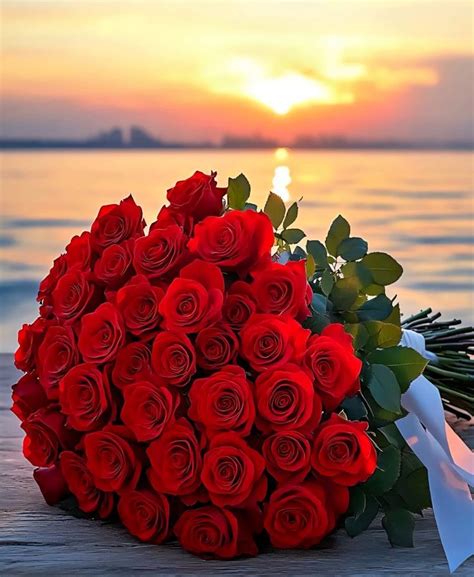 Pin Van Æ§ƐƏl·l Op 〃 ー 〃 In 2025 Dag Citaten Bloemen Planten