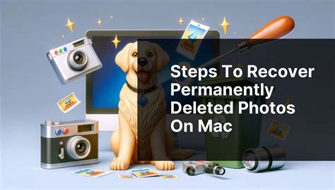 Steps To Recover Permanently Deleted Photos On Mac