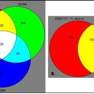 Venn Diagrams Summarizing Differential Gene Expression Between