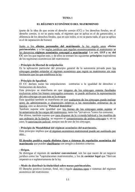 El RÉgimen EconÓmico Del Matrimonio Civil Tema 1 El RÉgimen EconÓmico