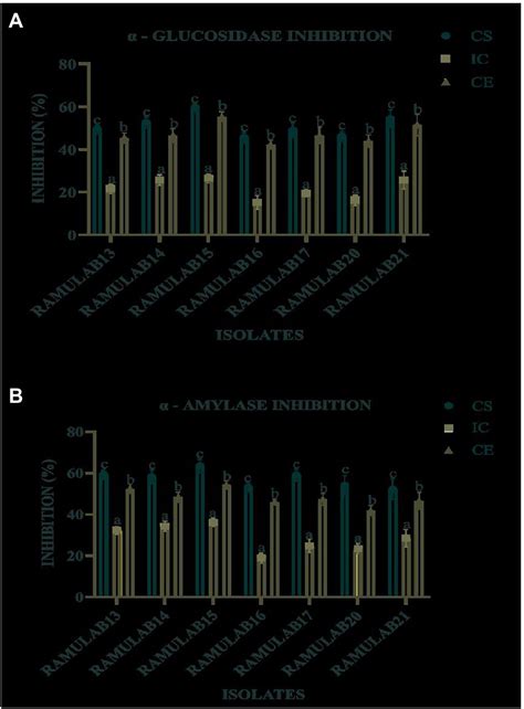 Frontiers Isolation And Characterization Of