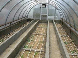 Теплица с подогревом земли своими руками. Как сделать правильно?