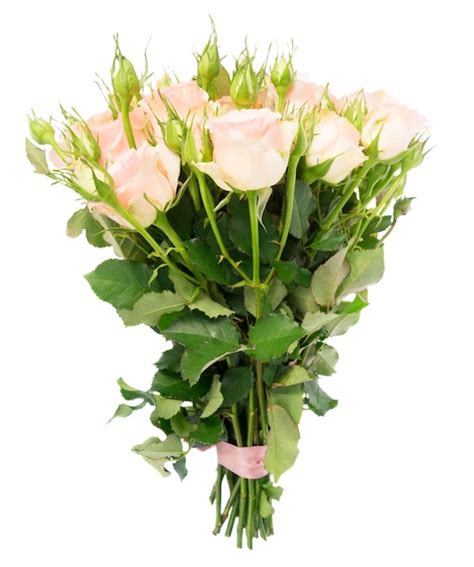 Premium Photo Violet Blooming Roses