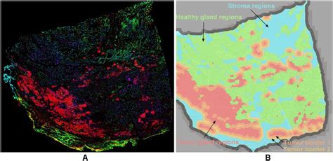 Heatmaps Aggregating Data On A Lower Spatial Resolution A