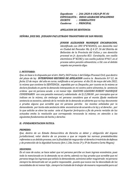 Apelacion De Sentencia Alexander Lima Pdf Apelación Debido Al