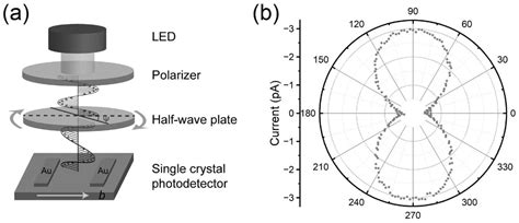 钙钛矿晶体及其光电响应材料、制备方法和应用