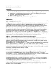 Understanding Osmosis And Diffusion Effects Of Temperature And Course Hero