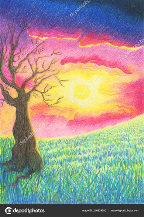 Trees Background Drawing