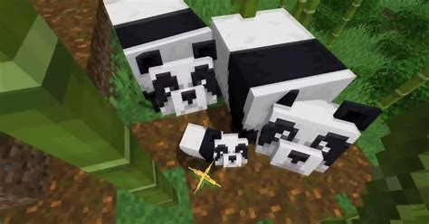 Cómo Criar Pandas En Minecraft Shockbyte