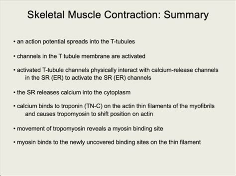 Contractile Proteins Sevier Flashcards Quizlet
