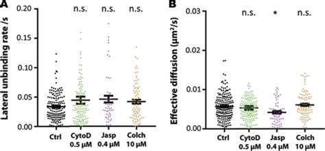 Effect Of Cytoskeleton Manipulation On The Membrane Diffusion Of