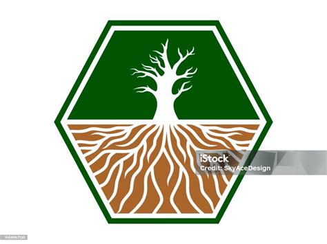 Hexagonal Shape With Tree And Roots Stock Illustration Download Image