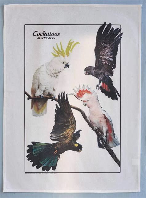 Cockatoos Australia Australian Tourist Souvenirs