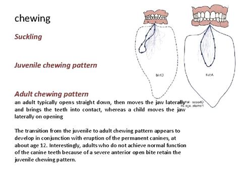 In The Name Of God Maturation Of Oral