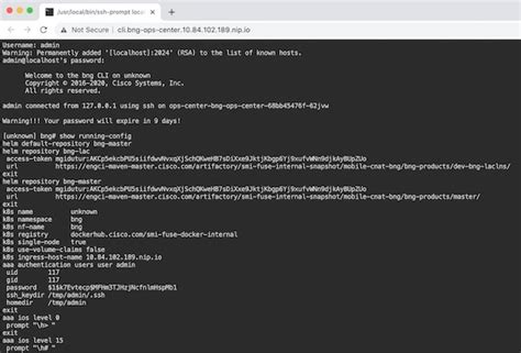 Cloud Native Bng Control Plane Configuration Guide Release 2021030