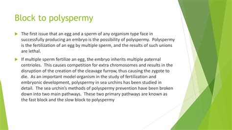Block To Polyspermypptx