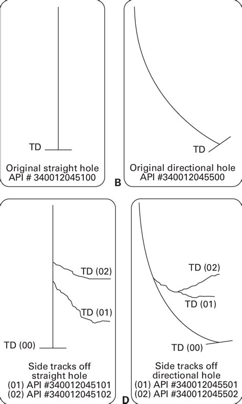 Illustration Of Use Of The 11th And 12th Digits Of The API Numbering Download Scientific