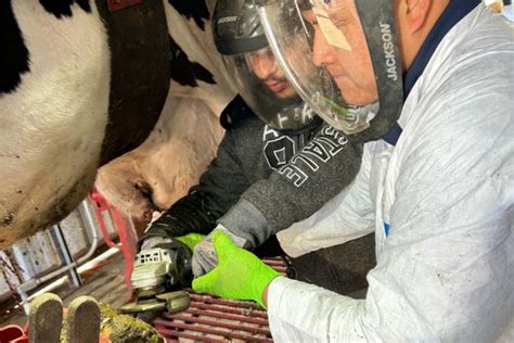 On Farm Hoof Care Coaching Dairyland Hoof Care Institute