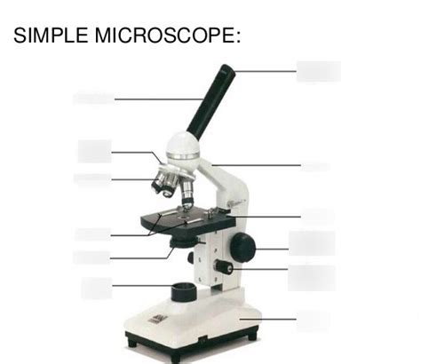 Microscope Diagram Quizlet