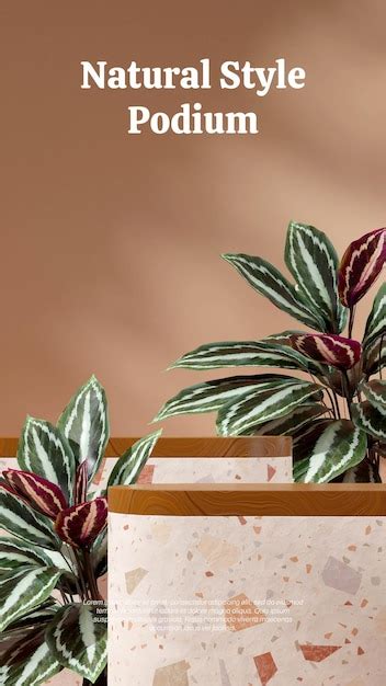 Пустое пространство дерево и терраццо подиум в портрете коричневая стена и растение калатея 3d