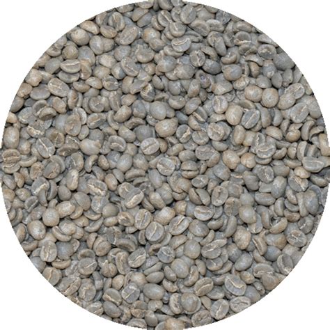 Kenya Premium Kiambu Komothai Barikongo Aa Top Lot Burman Coffee