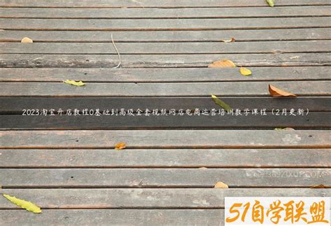 2023淘宝开店教程0基础到高级全套视频网店电商运营培训教学课程（2月更新）百度网盘下载 吾爱课堂