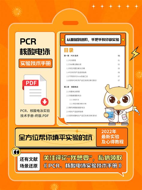 Pei转染的原理与使用操作方法 哔哩哔哩