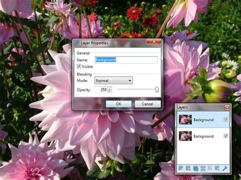 PhotoEffect Selective Coloring In Paint NET