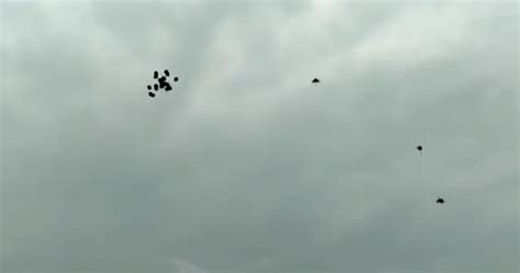 Watch Video Black Balloons Released At Vijayawada Airport After Pm