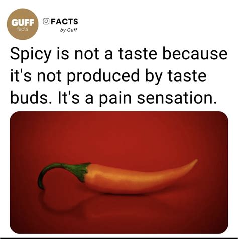 Youre Masochist If You Like Spicy Food Entertainment Talk Gaga Daily