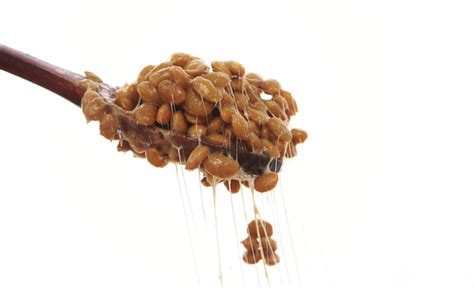Effects Of Poly Gamma Glutamic Acid 3 Benefits Of Poly Gamma Glutami