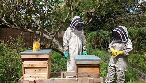 Protective Bee Suit Essential Gear For Safe Beekeeping Beginwithjava