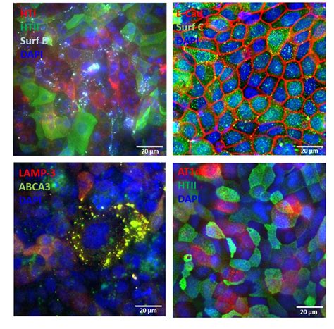 Leiam Colbert Phd Posted On Linkedin