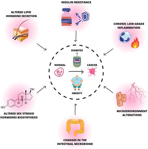 Obesity Diabetes And Cancer Epidemiology Pathophysiology And