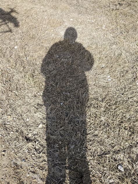 Skinny Fat Person Shadow Explainer What Is Fat Studies