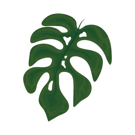 Tropical Leaf Icon 10825530 Vector Art At Vecteezy