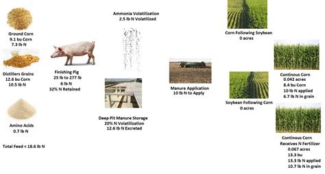 The Manure Scoop Nitrogen Circularity In Swine Finishing
