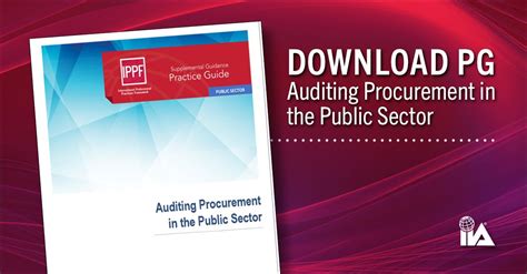 Patrick Soenen On Linkedin Auditing Procurement Publicsector Theiia Internalaudit