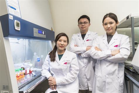Genetically Modified Neural Stem Cells Developed By Cityu And Hkumed Researchers Show Promising