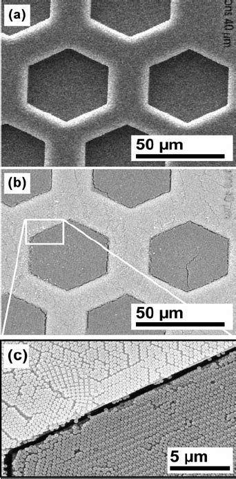 A Top View SEM Micrograph Of A Patterned Substrate Prior To PhC Download Scientific Diagram