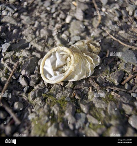 Used Condom Discarded In An Alleyway Photographed In Wolverhampton