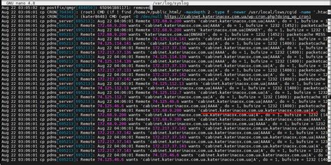 PowerDNS Running Successfully But DNS Not Working How To Identify