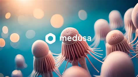 Cómo instalar y configurar Medusa JS en Ubuntu en 12 pasos