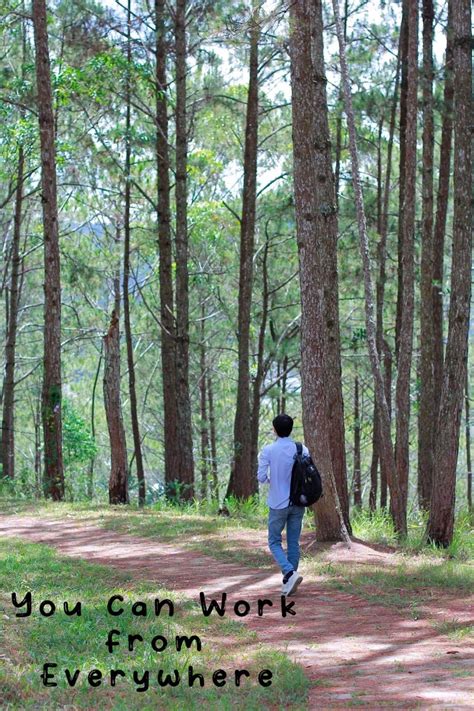 Arent Hiring Developer C Backend Frontend Algorithm Devops