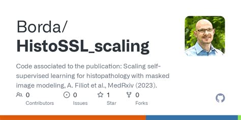 Github Bordahistosslscaling Code Associated To The Publication