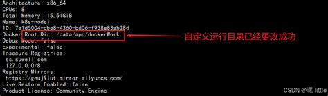Linux环境离线安装docker docker compose 大数据 AI 清泛网 专注C C 及内核技术
